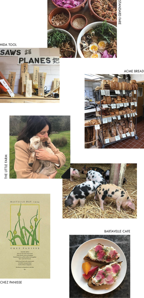 Laura's Berkeley Travel Guide – CAP Beauty